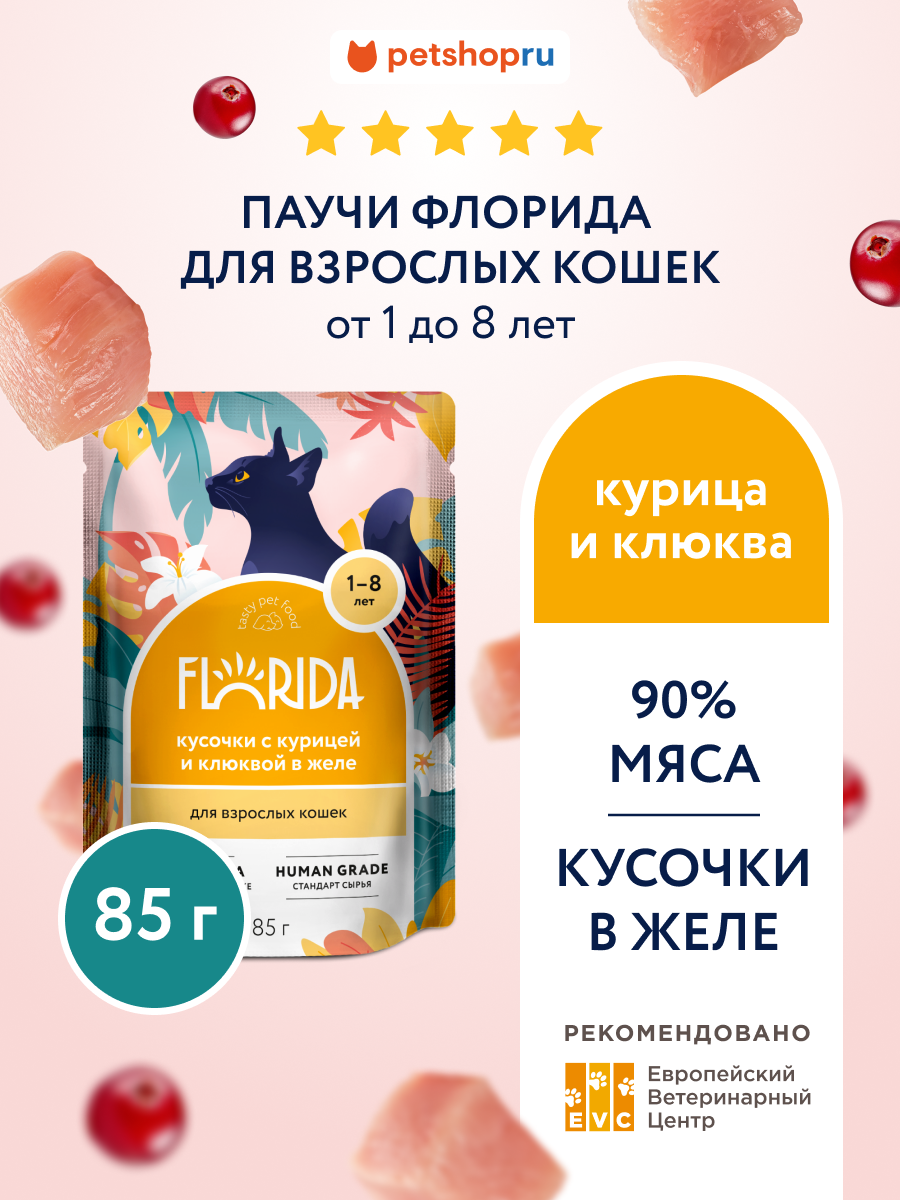 FLORIDA Паучи для кошек, влажный корм для взрослых кошек, кусочки с курицей и клюквой в желе, 1 шт, 85 г