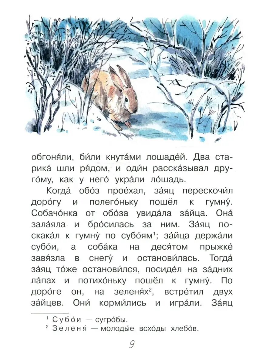 Акула. Рассказы — фото 1