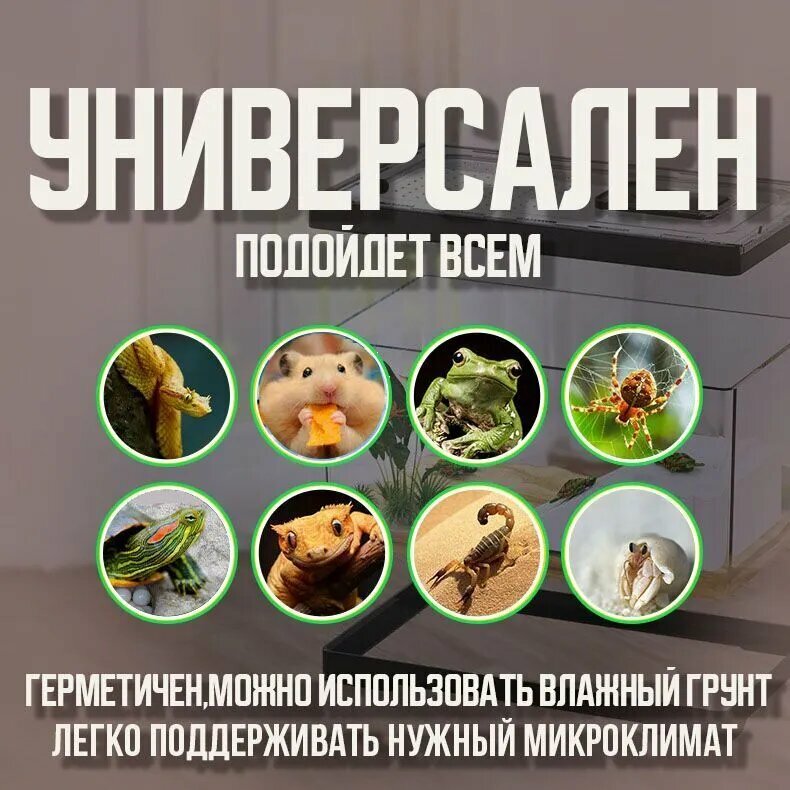 Террариум с крышкой для рептилий, пауков, улиток, богомолов, палочника, раков отшельников, грызунов, рыбок