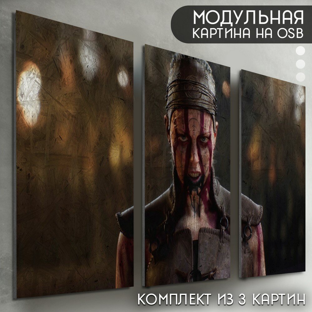 Модульная картина на рельефной доске ОСП "игра Hellblade 2 (сенуа, хелблейд, PS, PC, XBOX, SWITCH) - 6648"