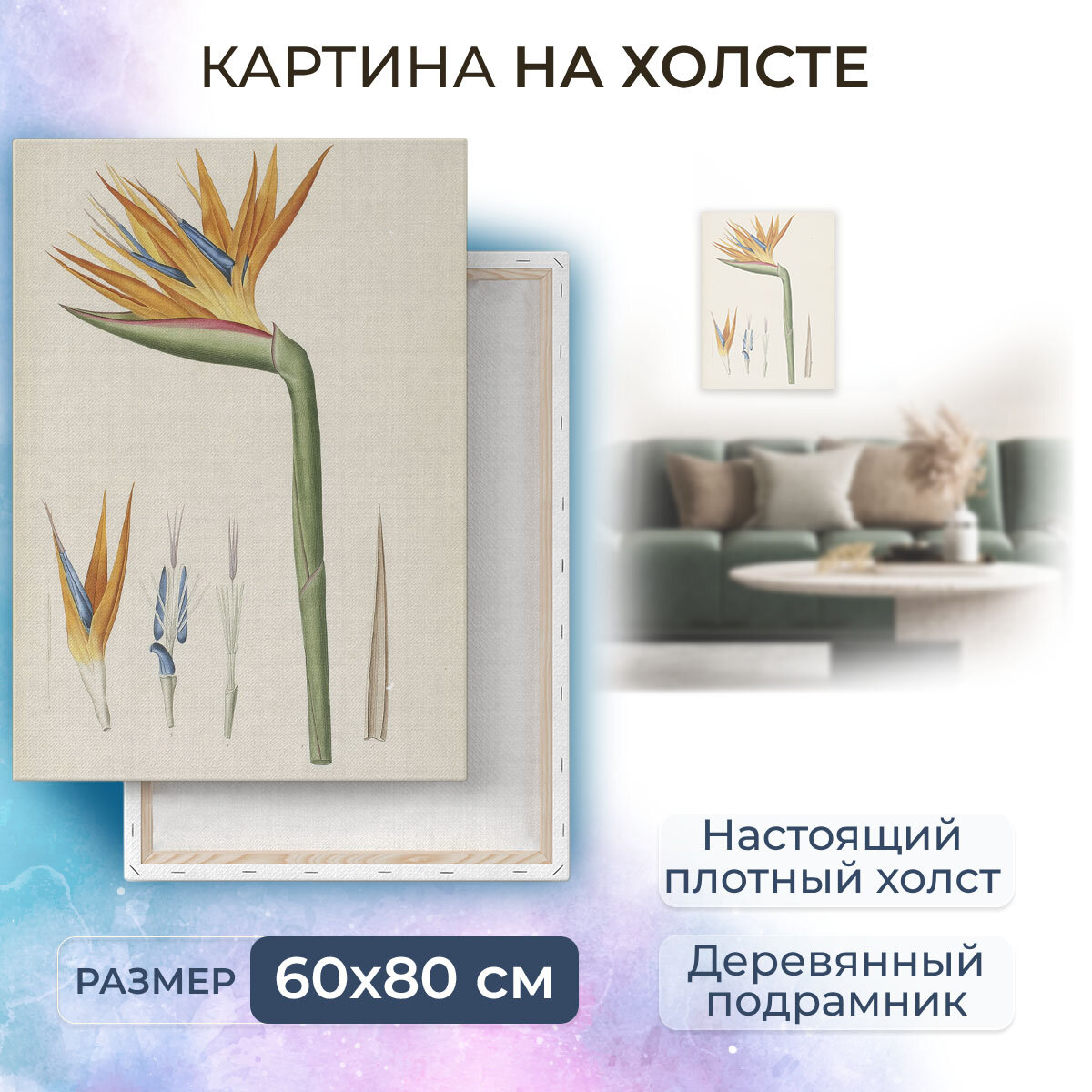 Картина на холсте с подрамником / Pierr - Joseph Redoute / Пьер-Жозеф Редуте