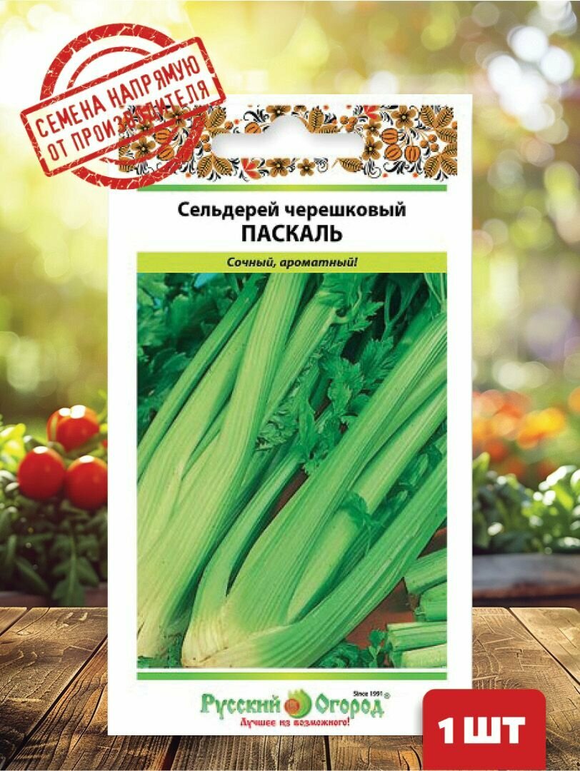 Сельдерей черешковый Паскаль