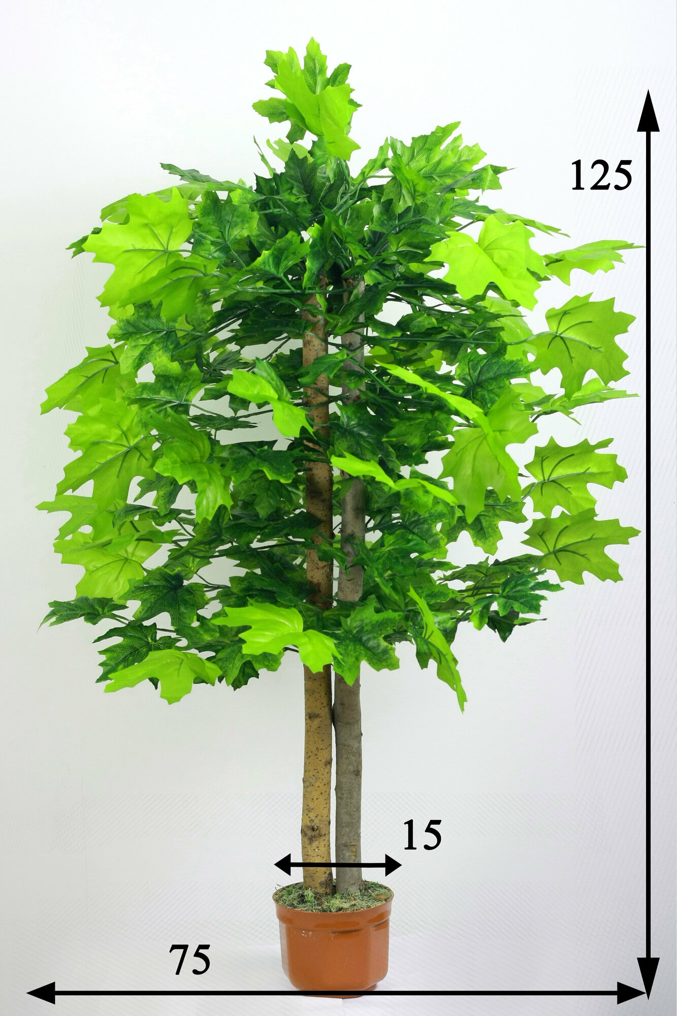 Искусственный Клён