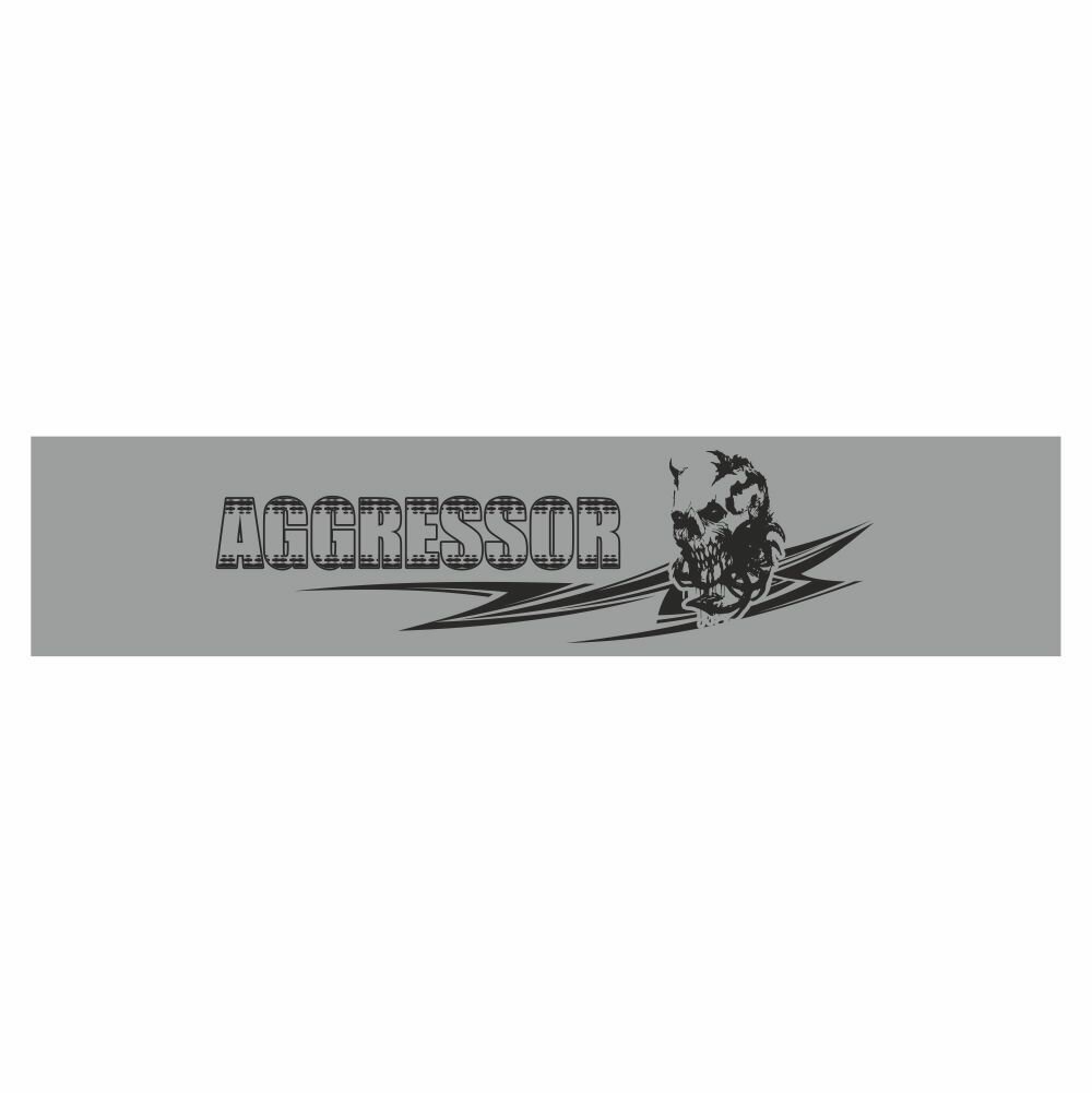 Полоса на лобовое стекло 1300х170мм "AGRESSOR"(череп) серебро, Арт рэйсинг