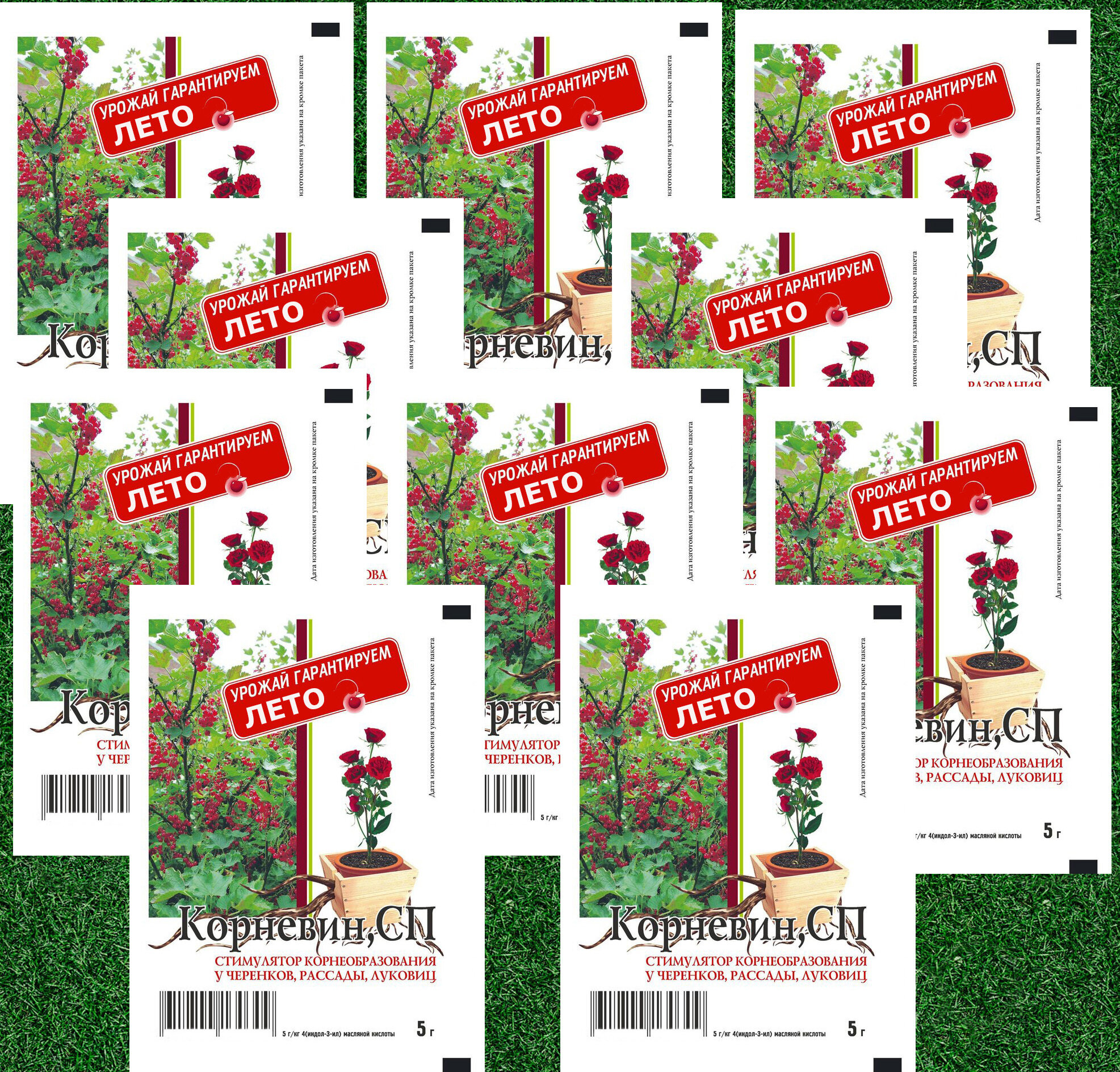 Стимулятор "Корневин" 5 гx10 упаковок. Препарат ускоренного действия. Удобрение для укрепления и повышения размеров клубней овощей. Биостимулятор повышающий иммунитет уличных и комнатных растений.