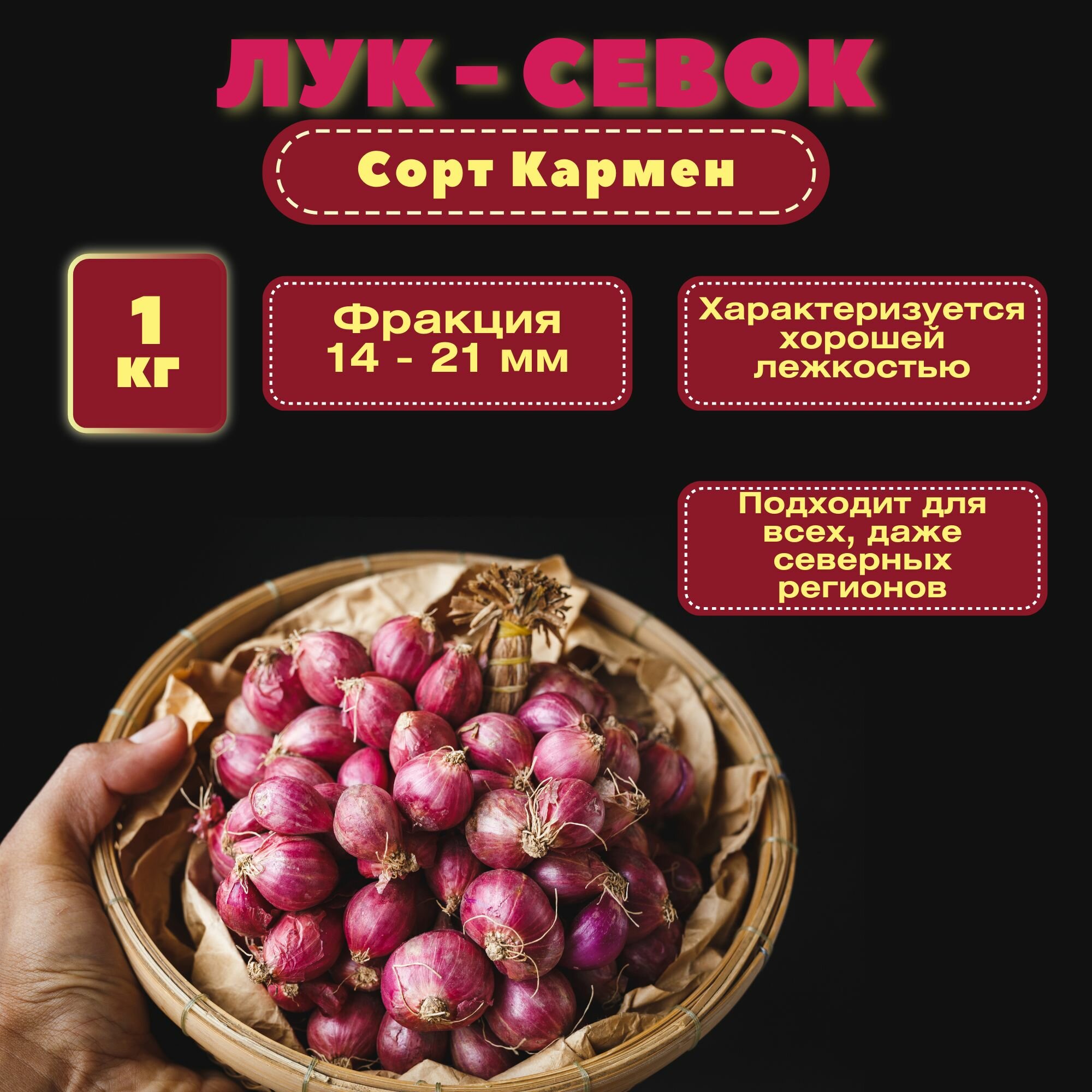 Лук севок "Кармен" в сетке 1 кг. Репчатый лук Кармен обладает ярко-красной окраской и сочной, слегка острой мякотью, которая станет отличным дополнением к любому блюду.