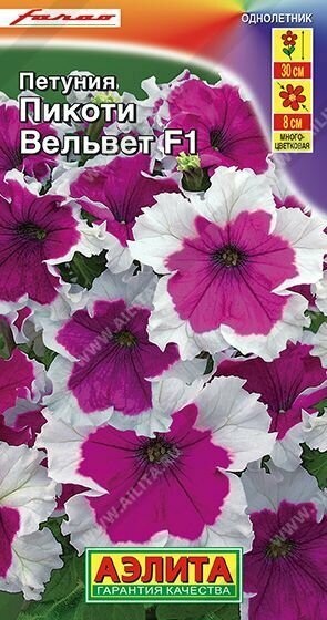 Петуния многоцветковая Пикоти Вельвет F1 ( 3 упаковки ), семена