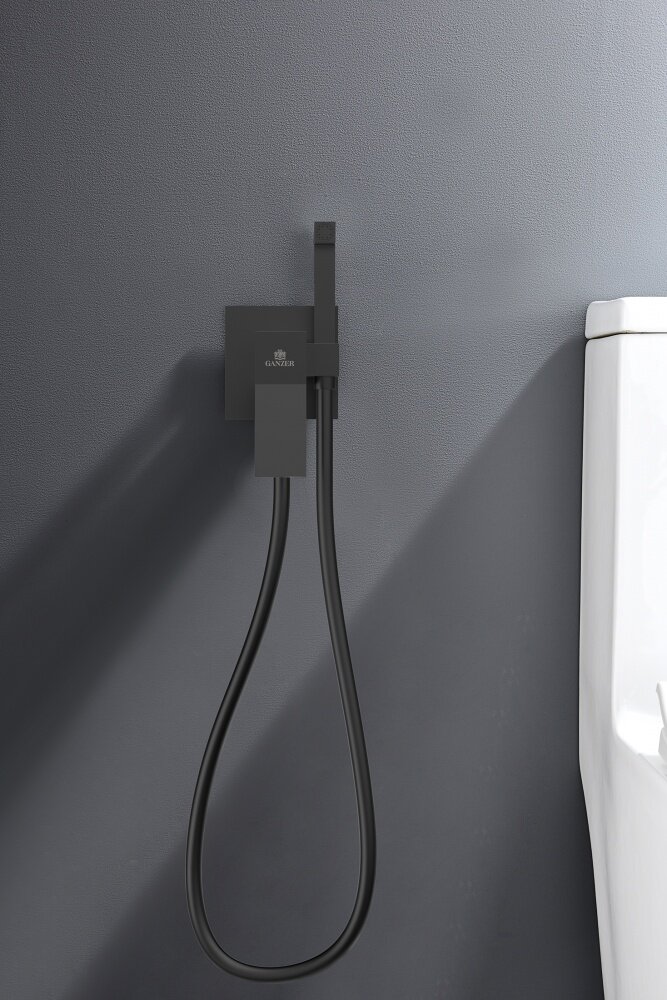 Встраиваемый смеситель с гигиеническим душем из латуни Ganzer GZ05157-C черный