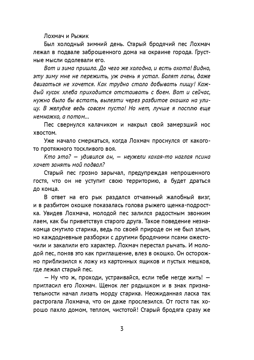 Лохмач и Рыжик — фото 1