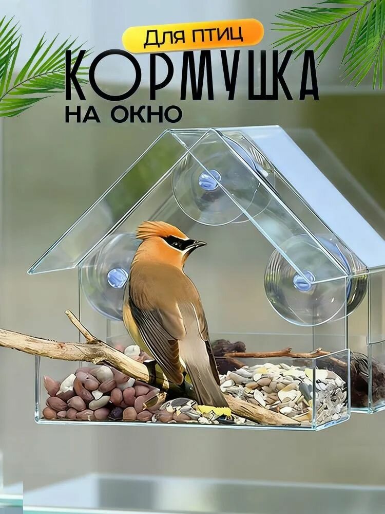 Кормушка Cccitizen, для птиц, на присоске, акрилик, прозрачная, 15x6x15 см