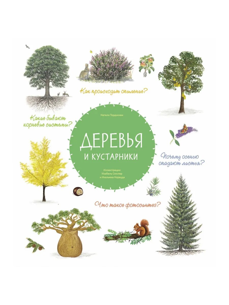 Деревья и кустарники