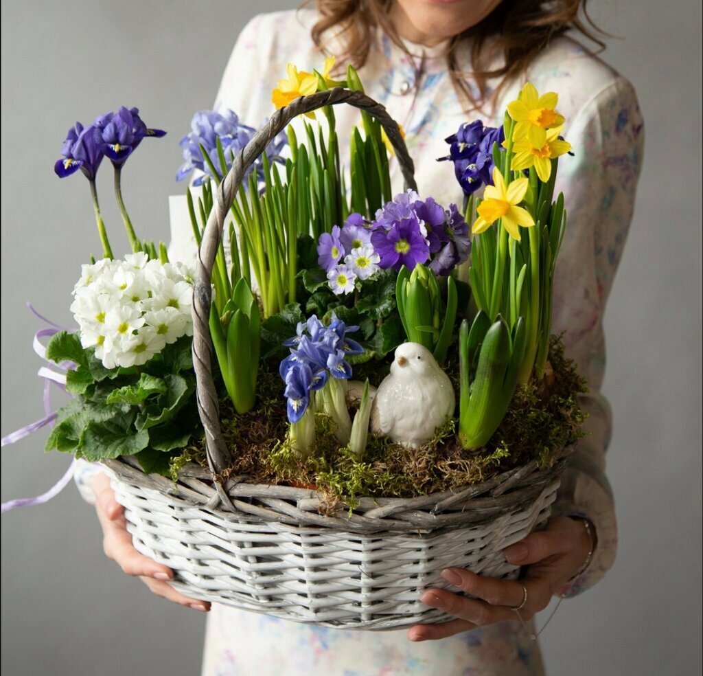 Композиция "Корзинка Первоцветов" King Florik, гиацинты/нарциссы/ирисы, в корзине