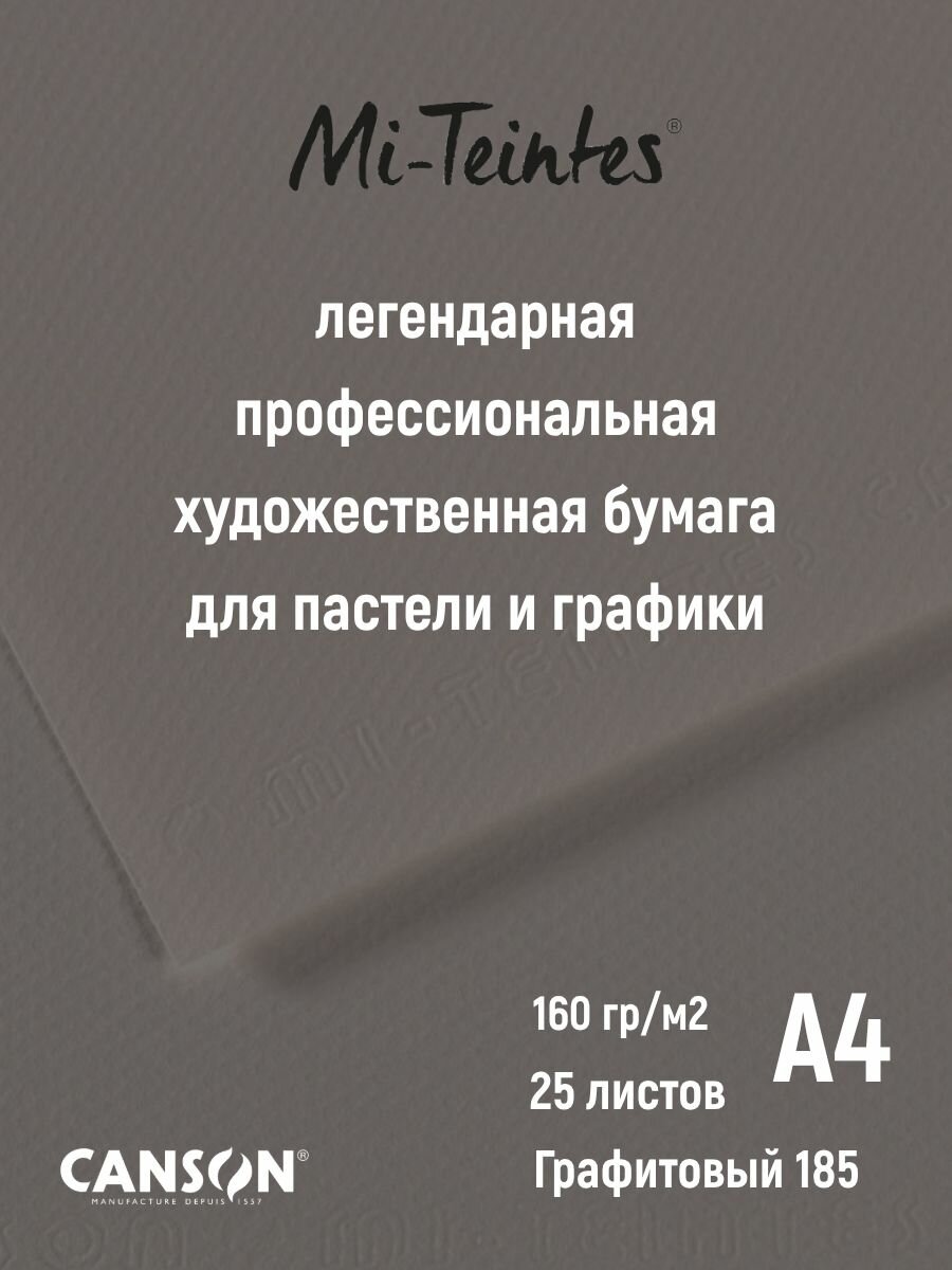 CANSON Mi-Teintes бумага для пастели 160 г/м2, 25 листов A4 21 х 29.7 см, №185 Графитовый C31032S046