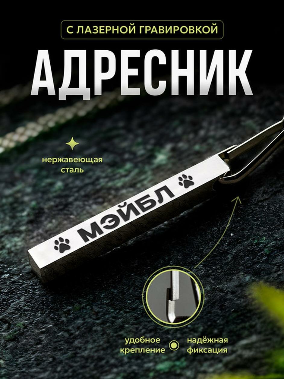 Адресник для собаки с гравировкой, нерж. сталь, серебристый, Мэйбл