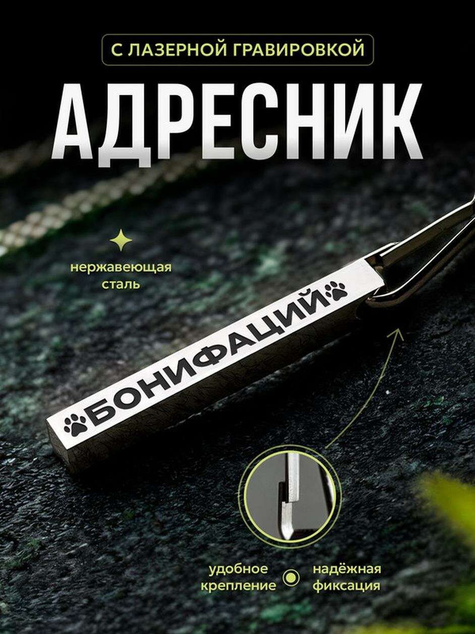 Адресник для собаки с гравировкой, нерж. сталь, серебристый, Бонифаций