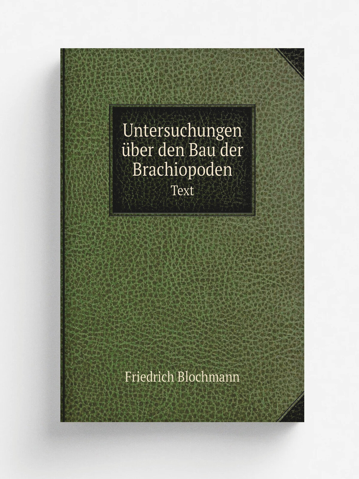 Untersuchungen . ber den Bau der Brachiopoden. Text