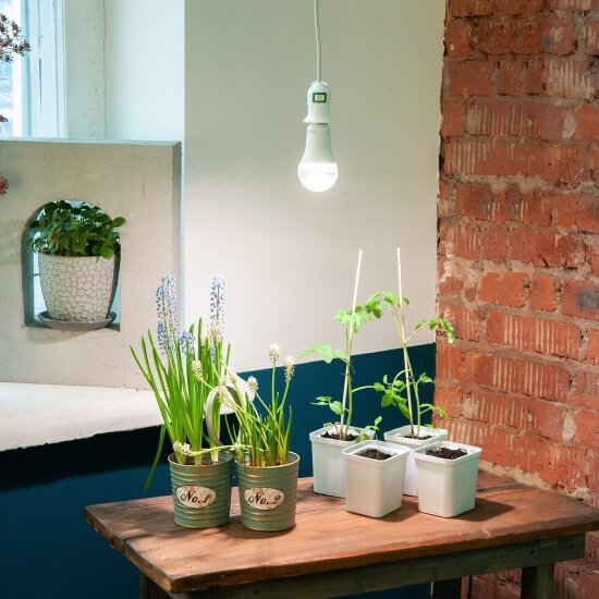 Патрон подвесной с выключателем и штепсельной вилкой Uniel DLC-P-T50B/E27 2M WHITE