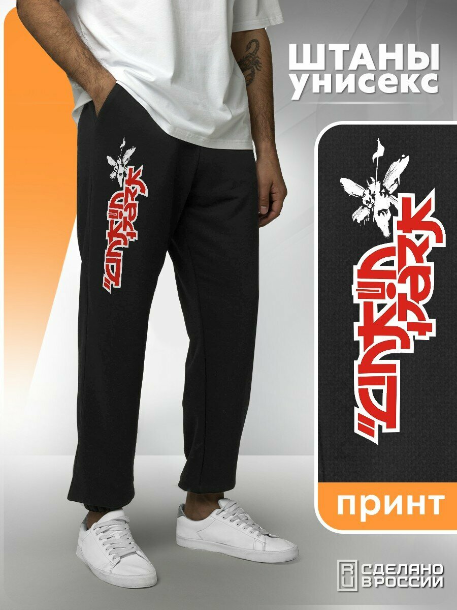 Брюки спортивные Бруталити