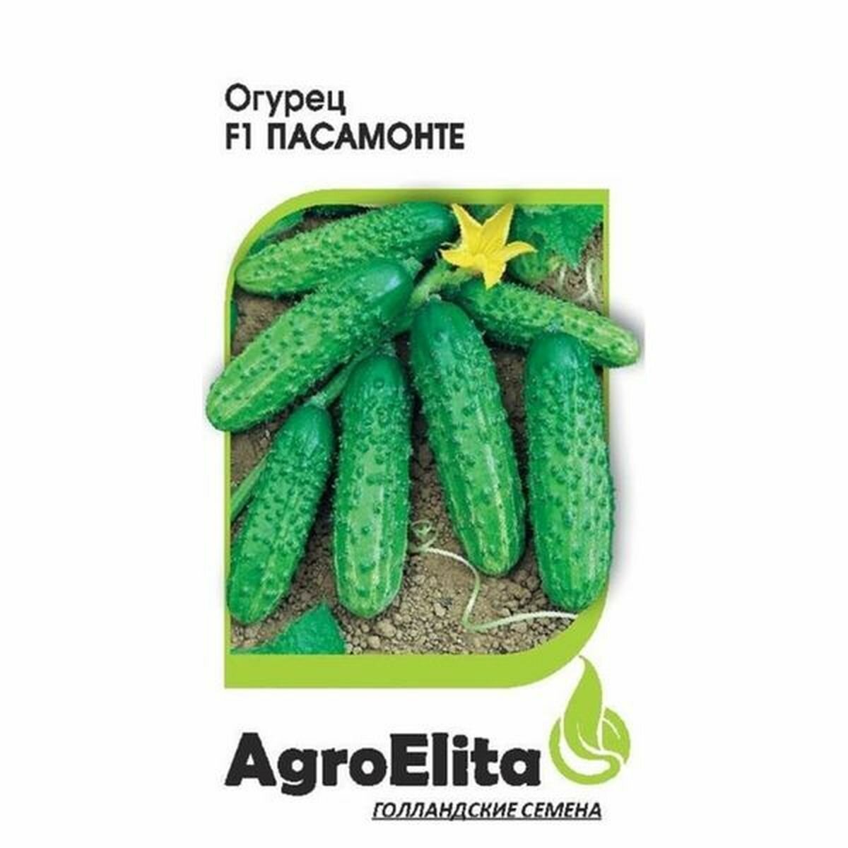 Семена Огурец Пасамонте F1, партенокарпический, раннеспелый, AgroElita, 1 пачка - 10 семян