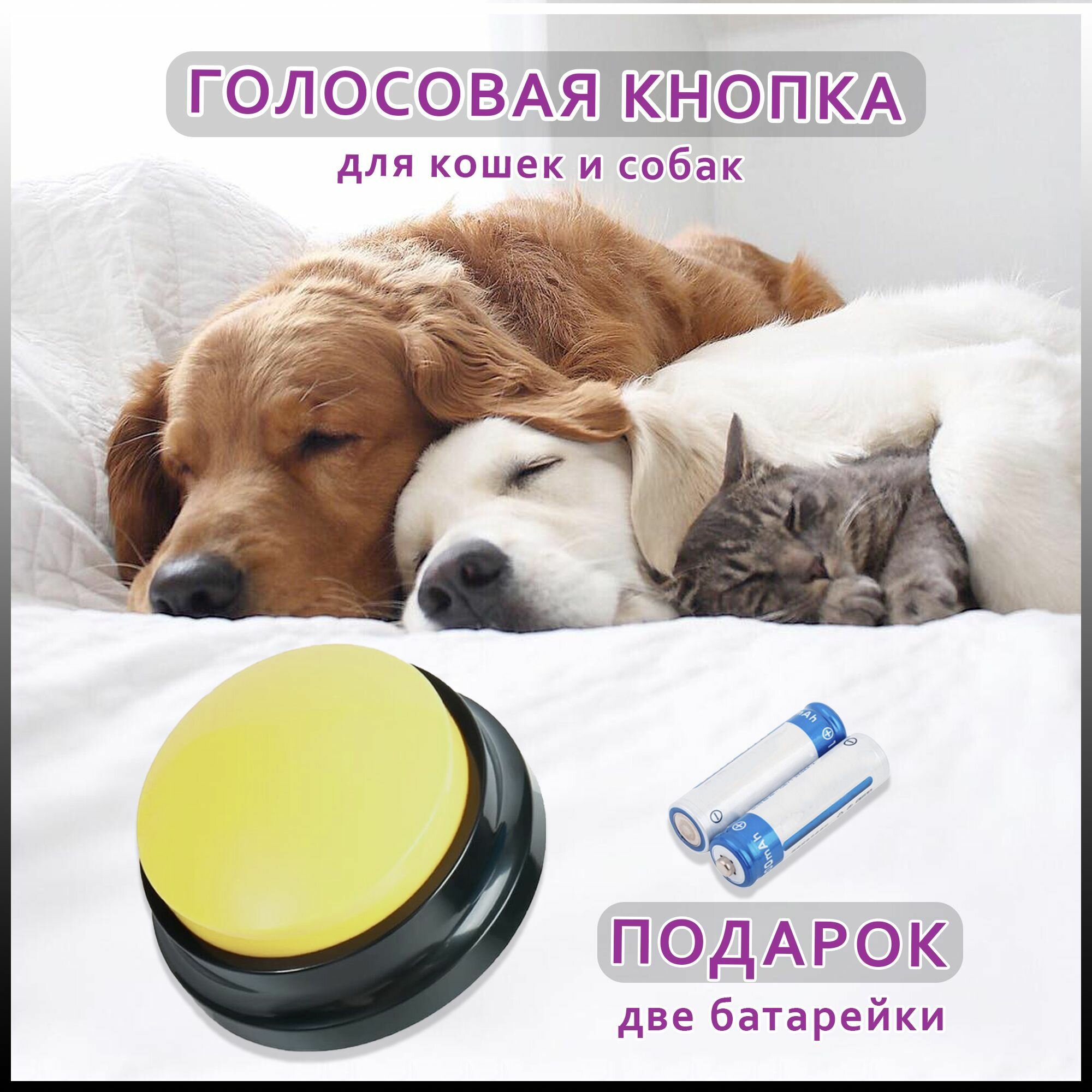 Звонок для животных
