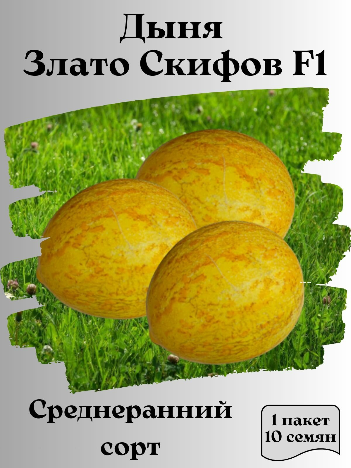 Дыня Злато Скифов F1, семена, 10 шт, 15 гр.