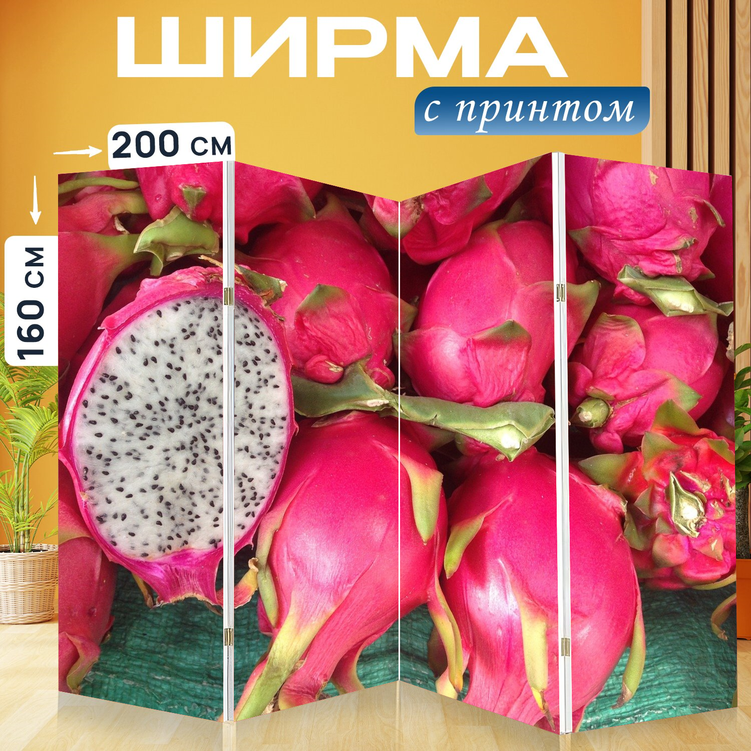 Ширма "Драконий фрукт, фрукты, дракон" перегородка для зонирования комнаты с принтом 200x160 см. на холсте