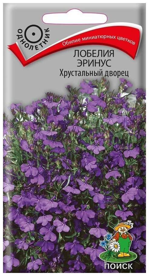 Цена за 10 пачек! Семена Лобелия Хрустальный дворец эринус 0,1г Одн 20см (Поиск)