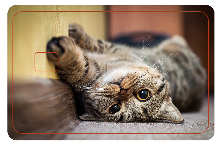 Наклейка на банковскую карту, стикер на карту, кошки