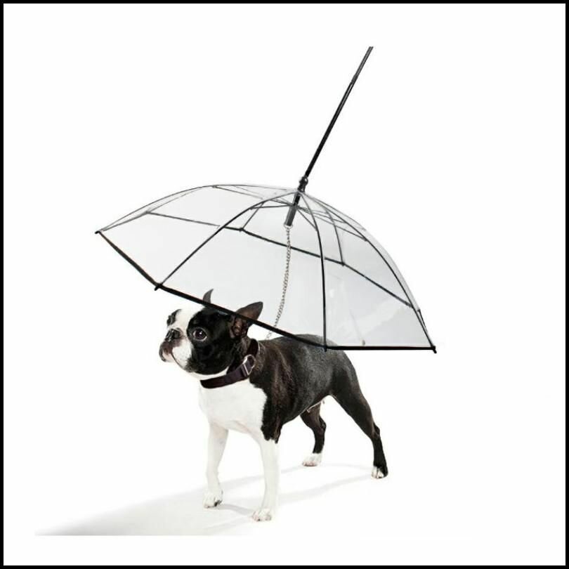Зонтик для собак-3