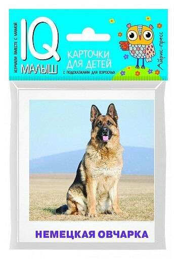 Карточки для детей IQ малыш Породы собак Наглядное пособие Малунова МВ 0+
