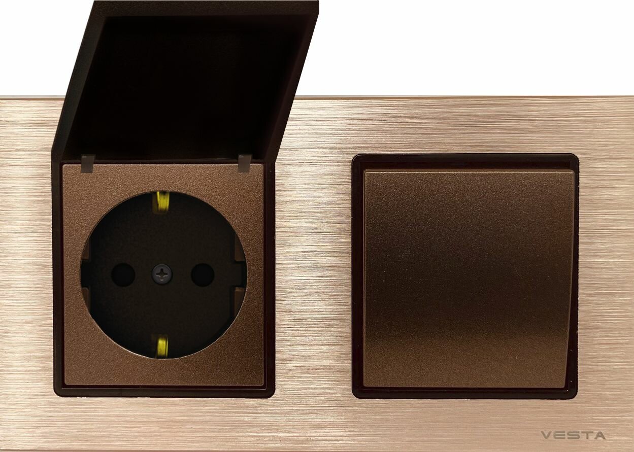 Блок в рамке из алюминия выключатель 1-клавишный + Розетка с заземлением с крышкой Metronex-Electric Exclusive Champagne