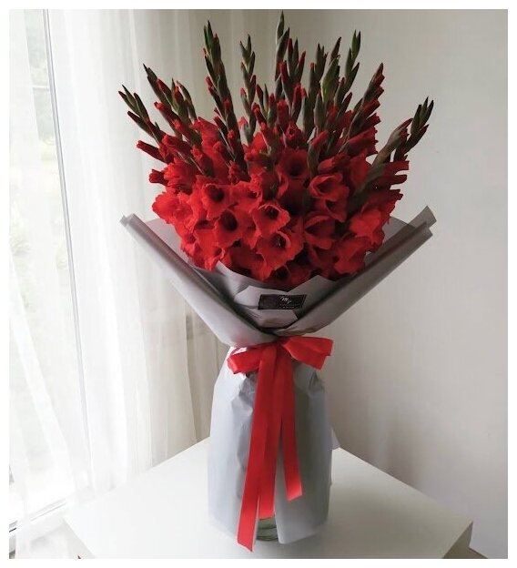 Букет Гладиолусы красные 19 шт, красивый букет цветов, шикарный, цветы премиум.