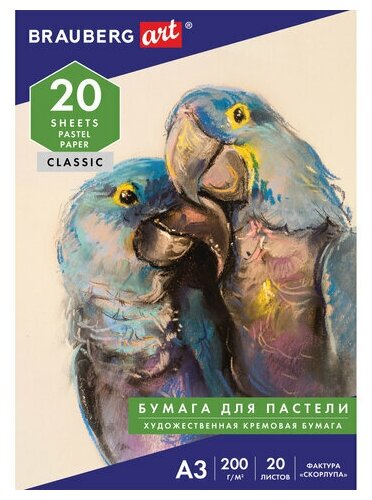 Папка для пастели А3, 297?420 мм, 20 л, BRAUBERG, тонированная бумага (слоновая кость), гознак, «Скорлупа», 200 г/м2