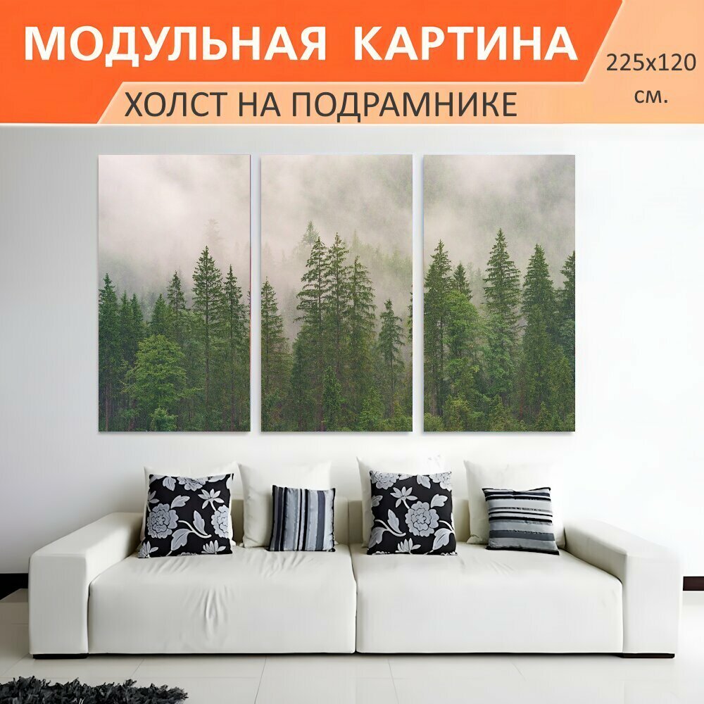 Модульная картина на холсте "Лес, хвойные породы, хвойный лес" триптих на подрамнике 225х120 см. для интерьера