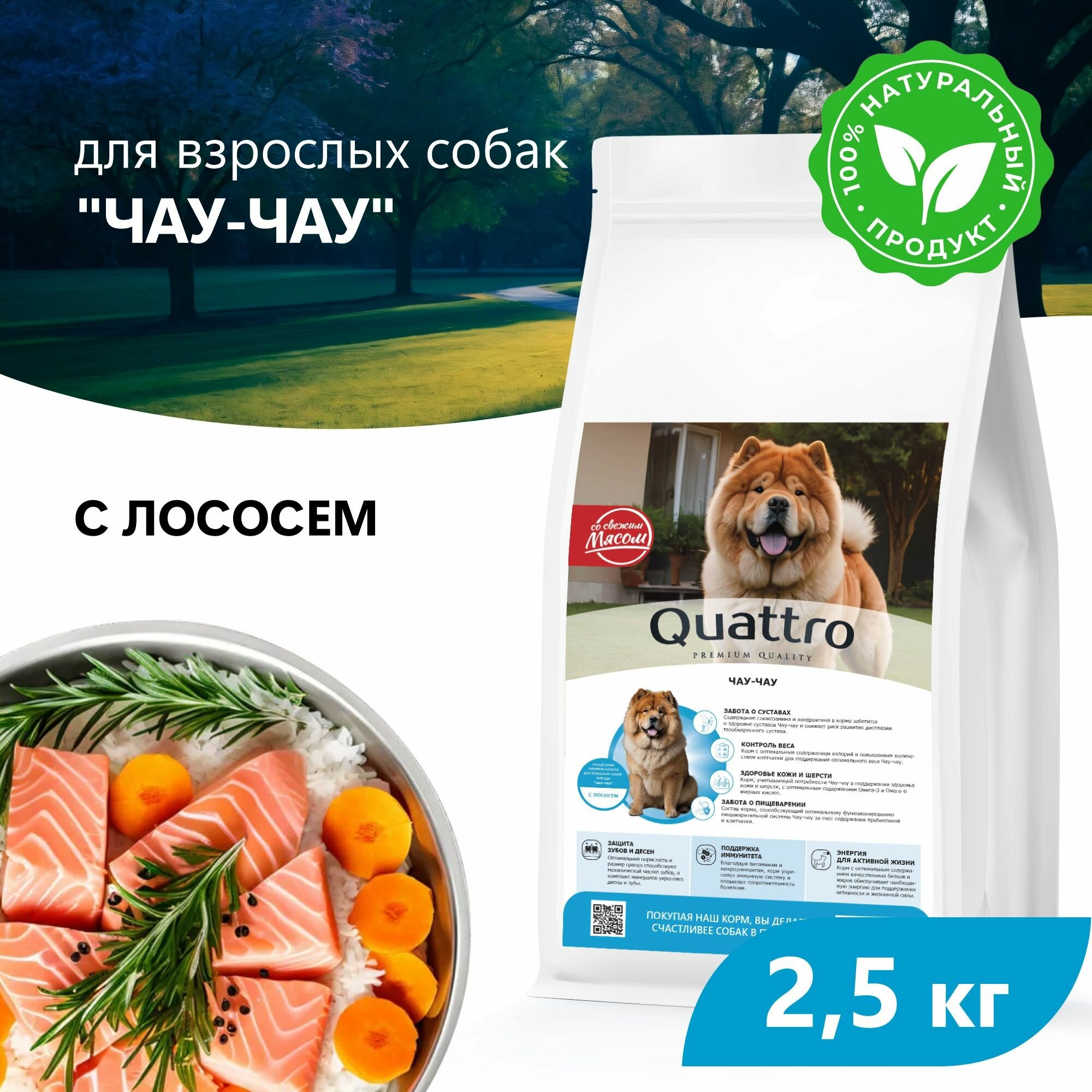 Quattro корм для взрослых собак породы Чау-чау, с лососем 2,5 кг