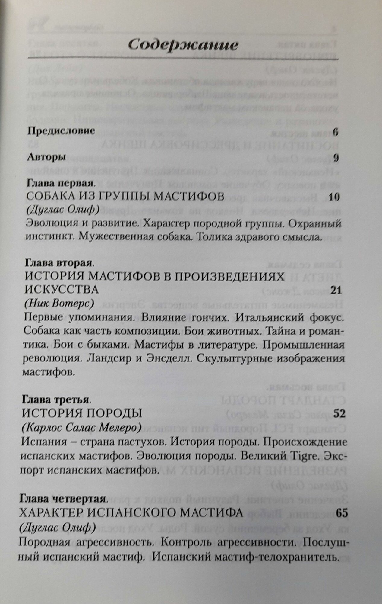 Испанский мастиф. Олиф. — фото 1