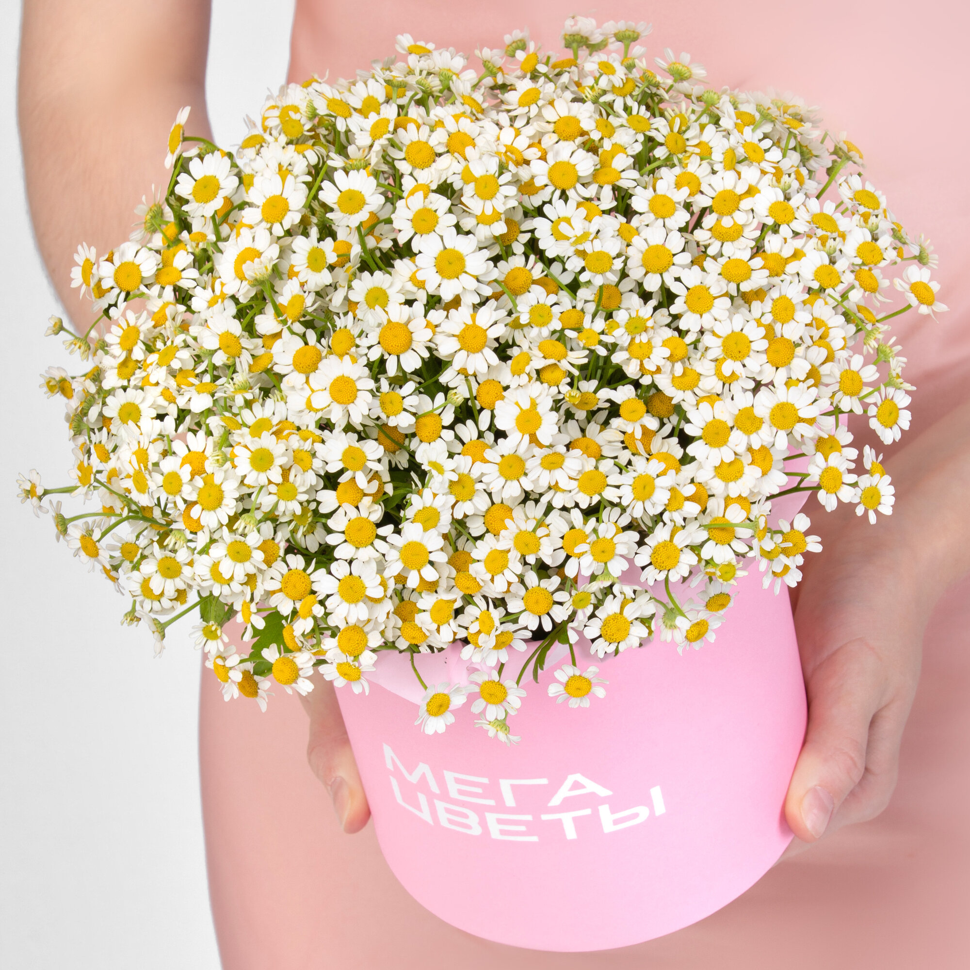 Композиция Мегацвет24 "Кустовые Ромашки", 15 шт, кремовые, в шляпной коробке