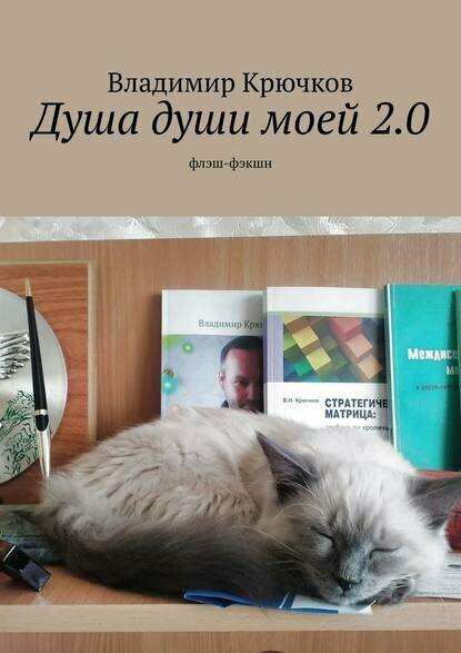 Душа души моей 2.0. флэш-фэкшн [Цифровая книга]