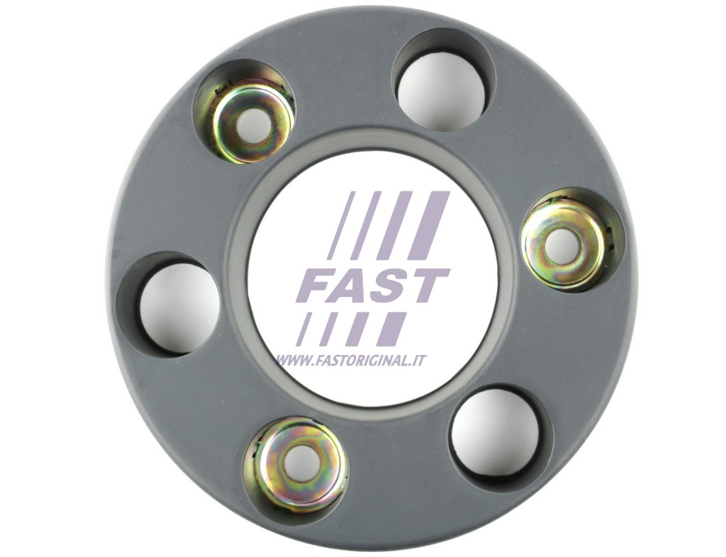 FAST FT92001 (FT92001_FA7) колпак iveco daily 06 65c
