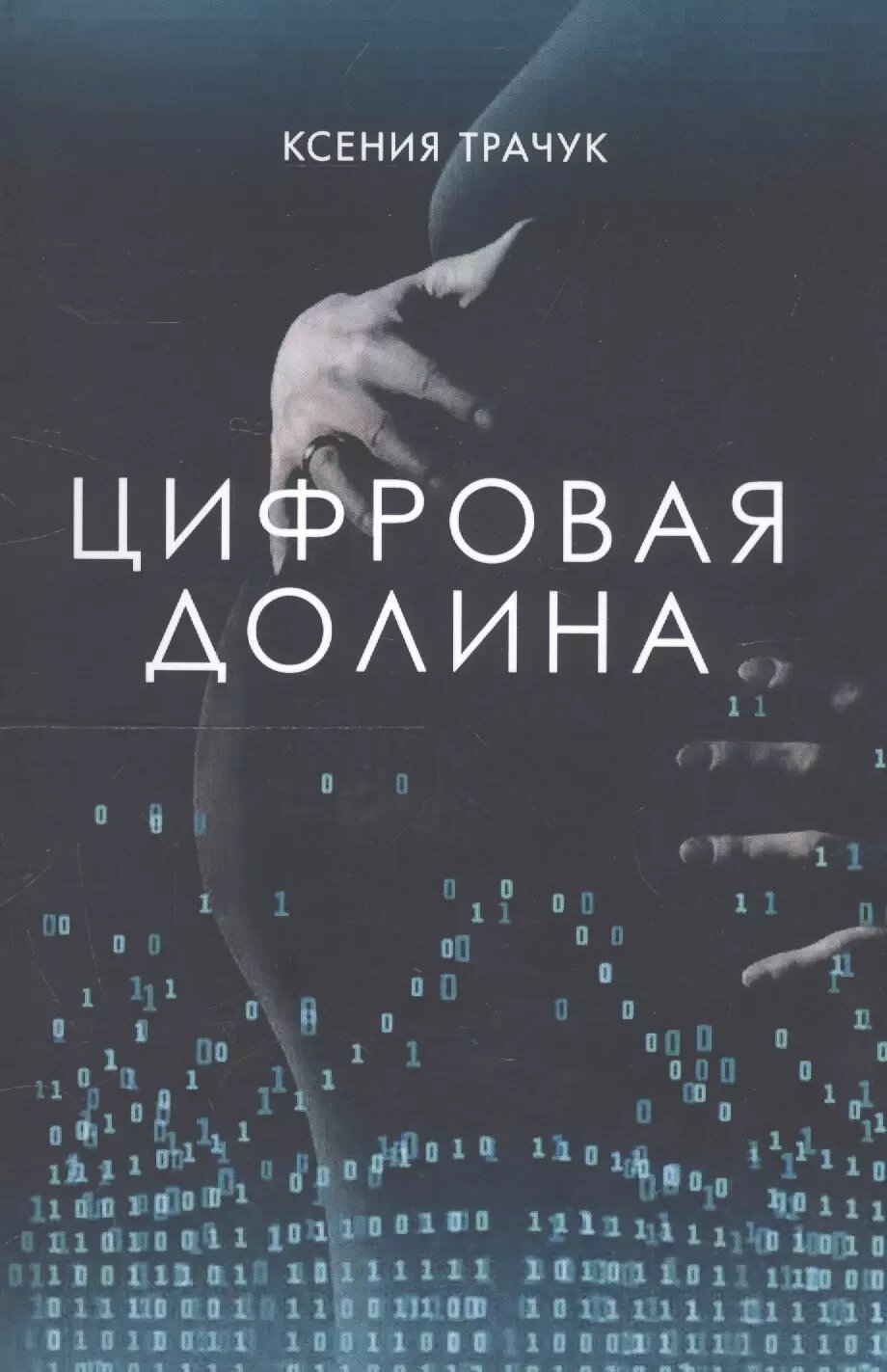 Цифровая долина ()
