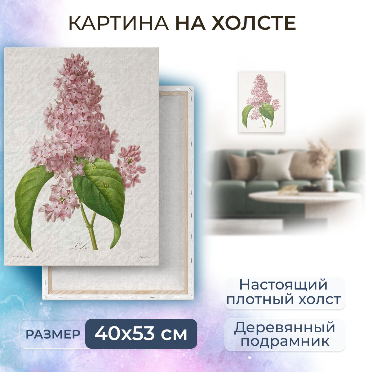 Картина на холсте с подрамником / Pierr - Joseph Redoute / Пьер-Жозеф Редуте