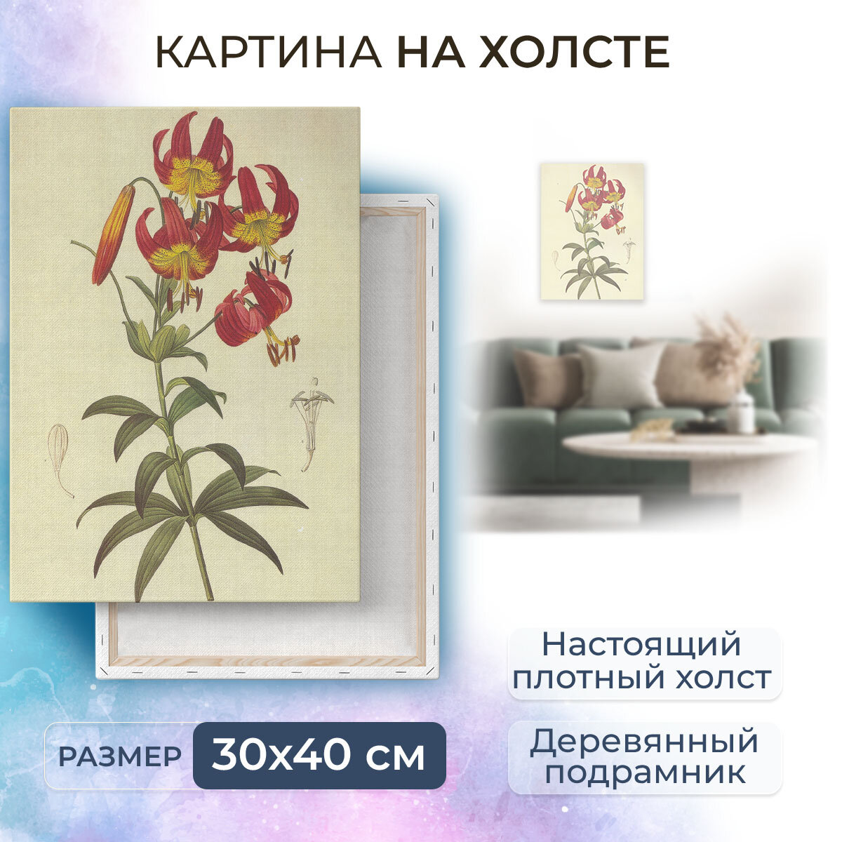 Картина на холсте с подрамником / Pierr - Joseph Redoute / Пьер-Жозеф Редуте