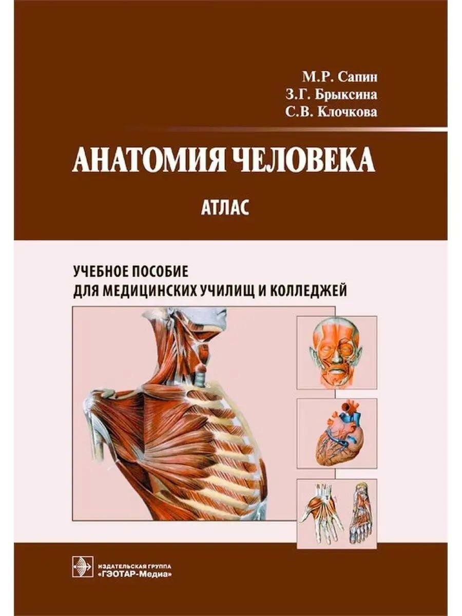 Учебное пособие гэотар-медиа Анатомия человека: атлас. Брыксина З. Г, Сапин М. Р, Клочкова С. В, 2025