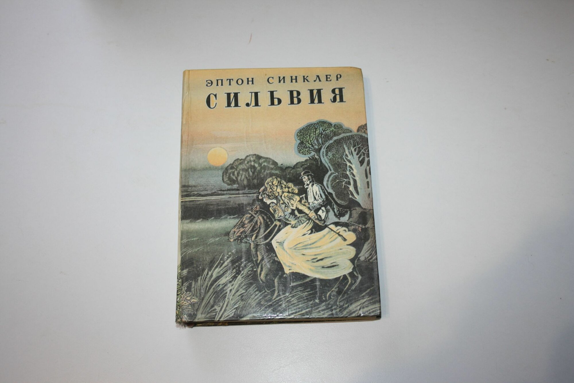 Сильвия. Замужество Сильвии