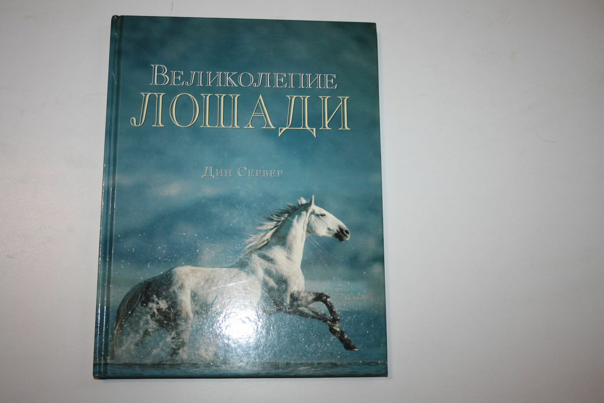 Великолепие лошади