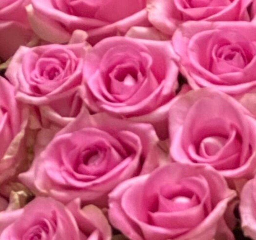 Букет живых цветов, розы NURA FLOWERS, 65 роз, высота 60 см, на стеблях, розовые