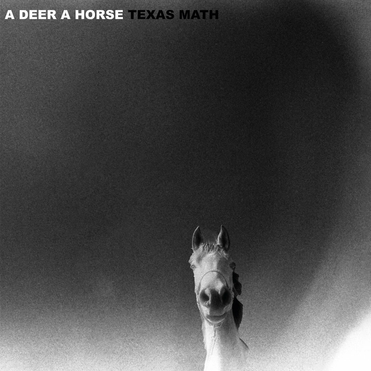 Виниловая пластинка A Deer A Horse – Texas Math, 4260108234271