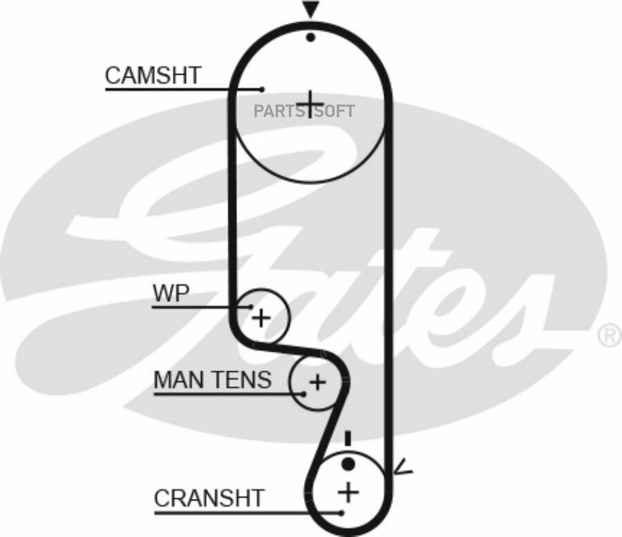 Ремень ГРМ Chevrolet Aveo 02-11 / Matiz 05-10 4G13;4G15;4G18 GATES 5535XS | цена за 1 шт