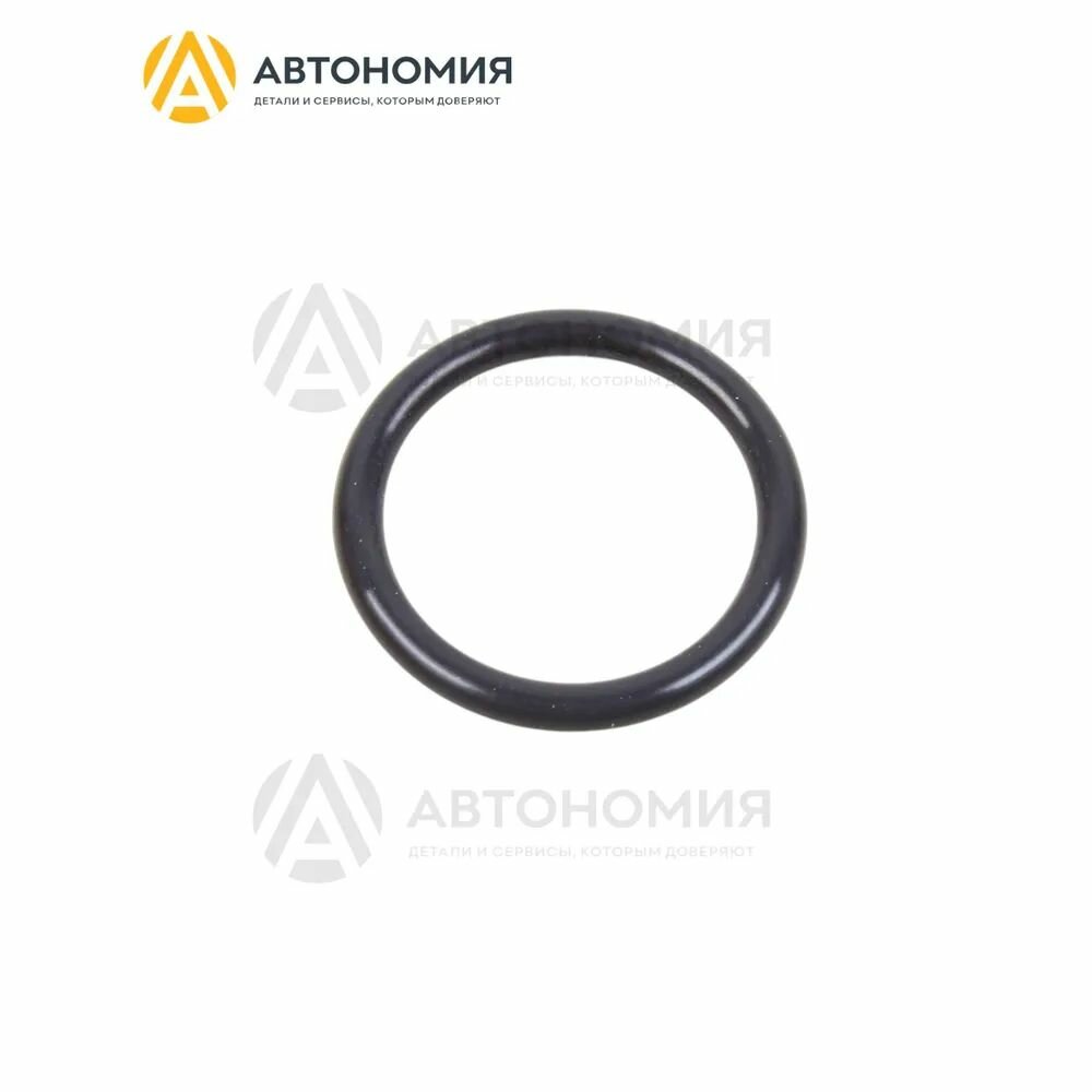 Кольцо уплотнительное системы охлаждения TOYOTA 1GFE 96- 90301-17009