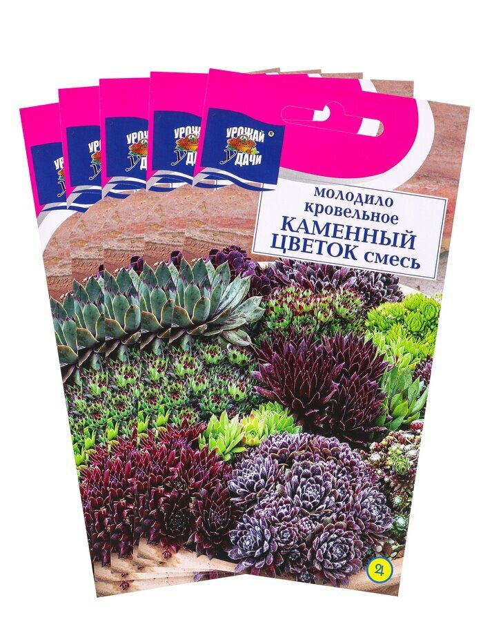 Набор семян Молодило "каменный цветок", смесь, 5 шт.